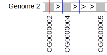 pygengraph – user_manual