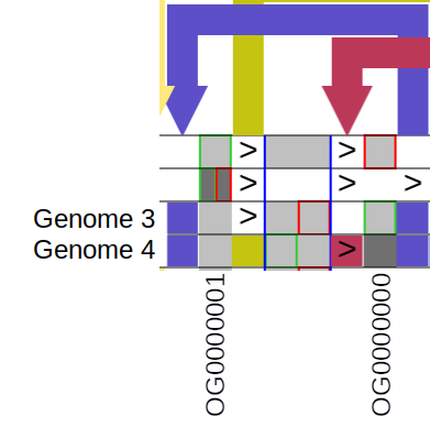 pygengraph – user_manual