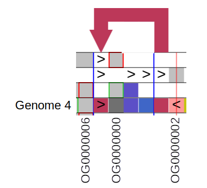 pygengraph – user_manual